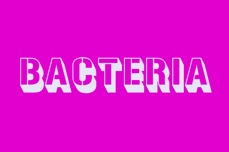 BACTERIA in different languages: 134+ Translation & Listening ...