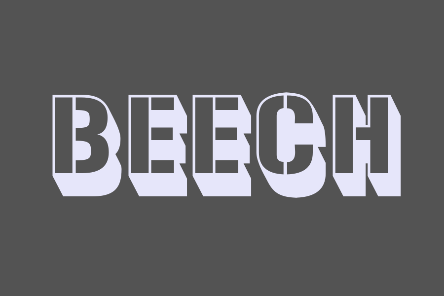 BEECH in different languages: 134+ Translation & Listening - Translate.How