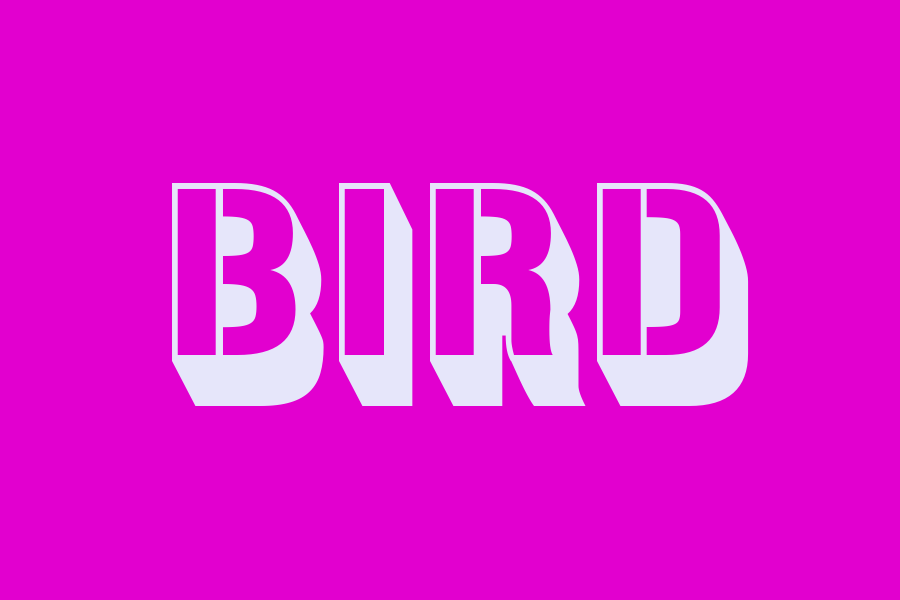 BIRD in different languages: 134+ Translation & Listening - Translate.How