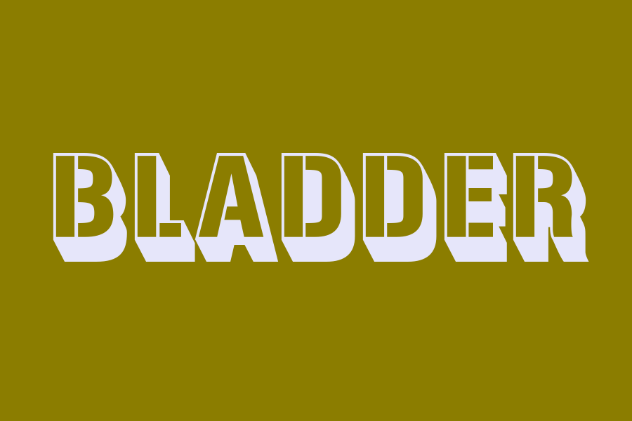 BLADDER in different languages: 134+ Translation & Listening ...