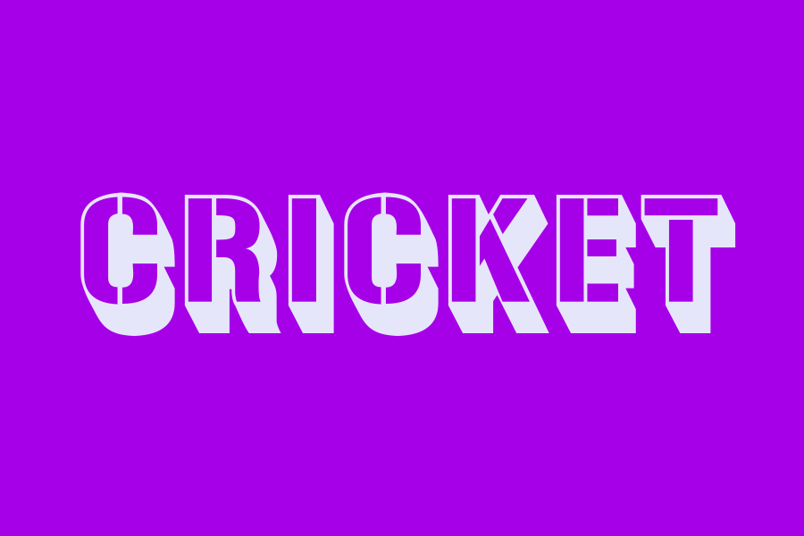 CRICKET In Different Languages 134 Translation Listening cricket-in-different-languages-134-translation-listening