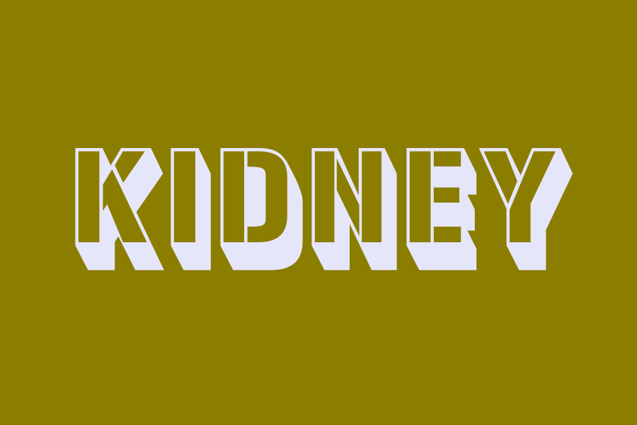 KIDNEY in different languages: 134+ Translation & Listening - Translate.How