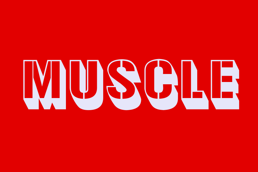 MUSCLE in different languages: 134+ Translation & Listening - Translate.How