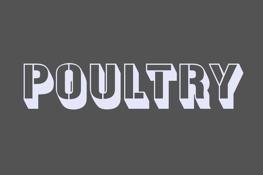 POULTRY in different languages: 134+ Translation & Listening ...